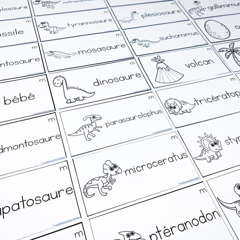 French Word Wall Cards: Dinosaur Vocabulary | vocabulaire les ...