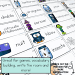French Halloween Vocabulary | French Word Wall Cards and Personal ...