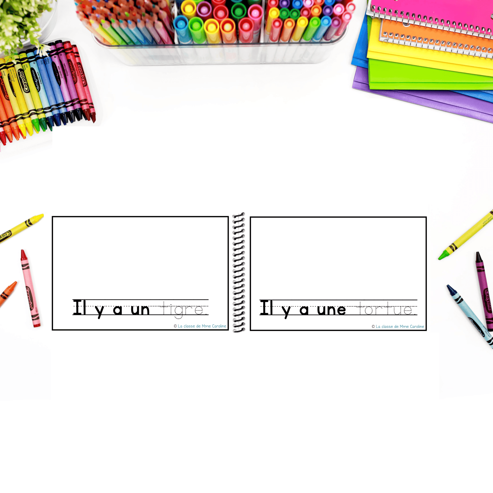 French Alphabet Readers Books for Emergent Readers: T - La Classe de ...
