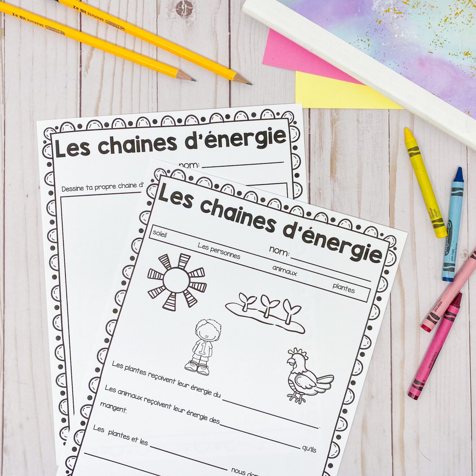 Grade 1 Science Unit Bundle in FRENCH - La Classe de Mme Caroline
