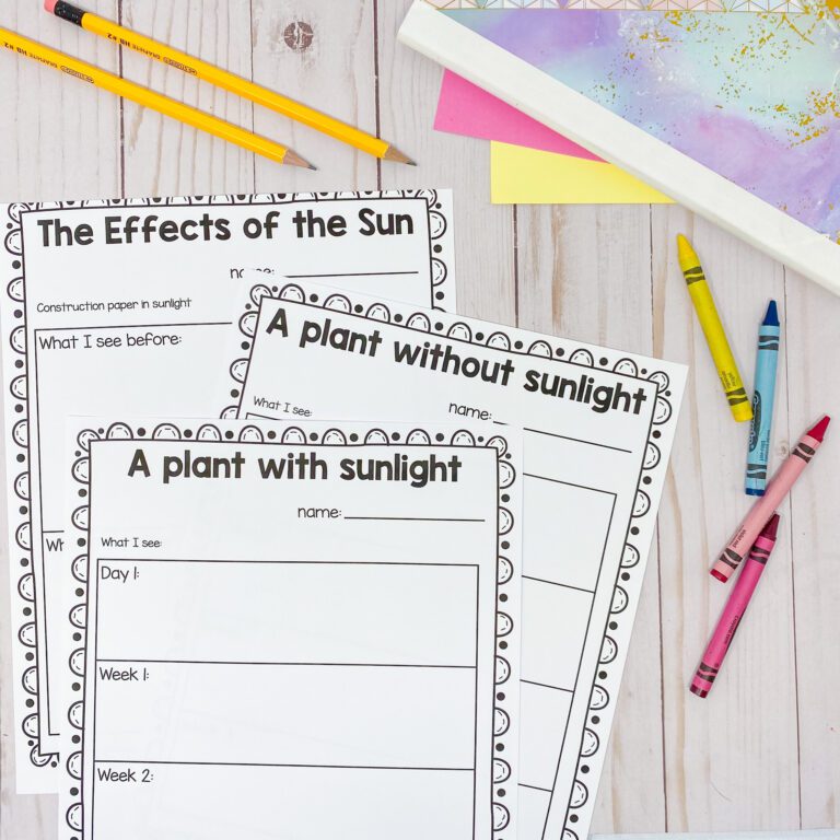 Grade 1 Science Unit Bundle in ENGLISH - Based on the Ontario Science ...