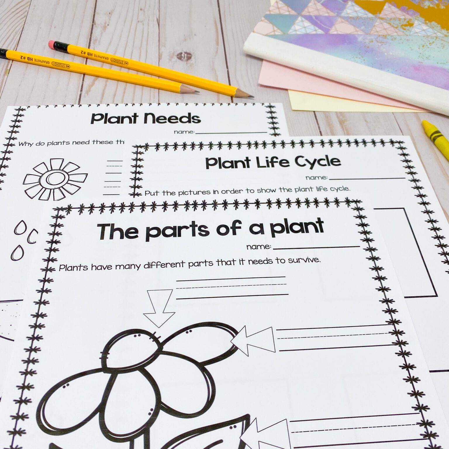 Grade 1 Needs and Characteristics of Living Things Science Unit in ...