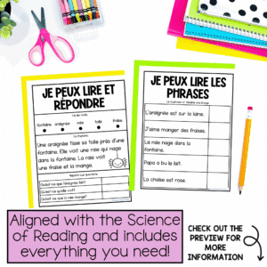 French Phonics Activities - Decoding, Phonological & Phonemic Awareness ...
