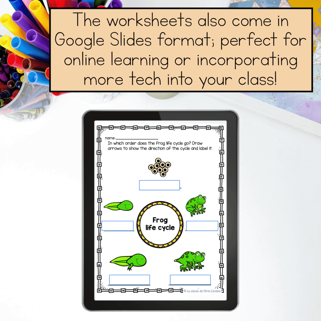 Grade 2 Growth and Changes in Animals Science Unit in ENGLISH - La ...