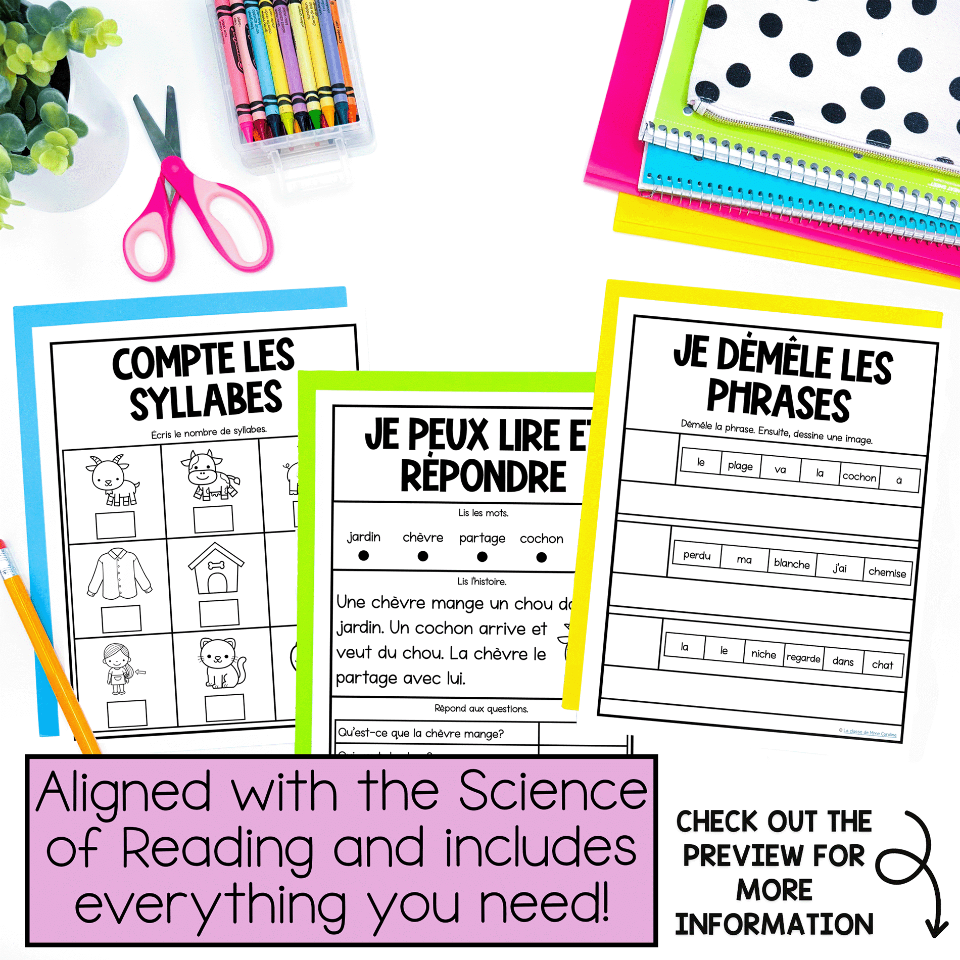 French Phonics Activities - Decoding, Phonological & Phonemic Awareness ...