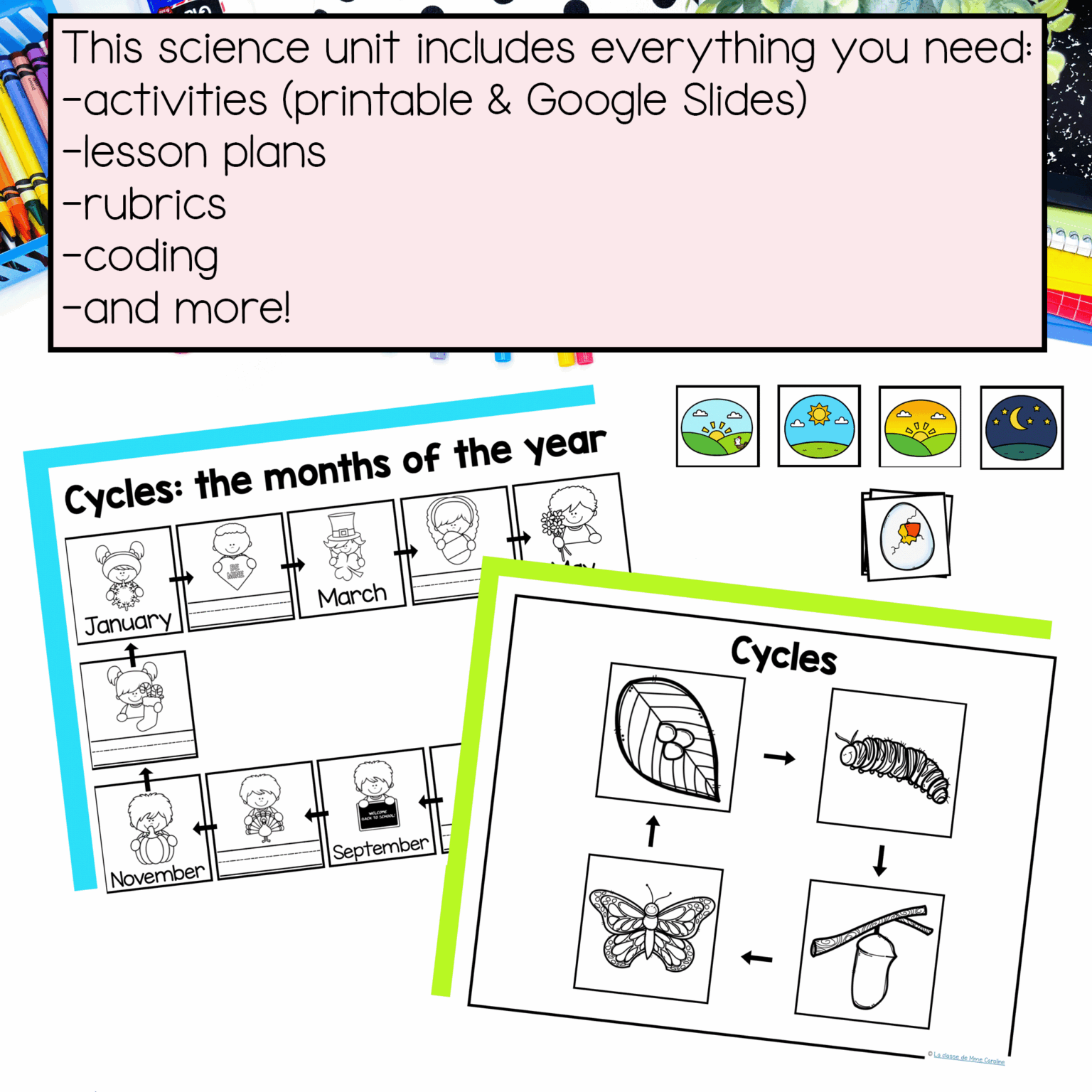 Grade 1 Daily and Seasonal Changes Science Unit in ENGLISH - Includes ...