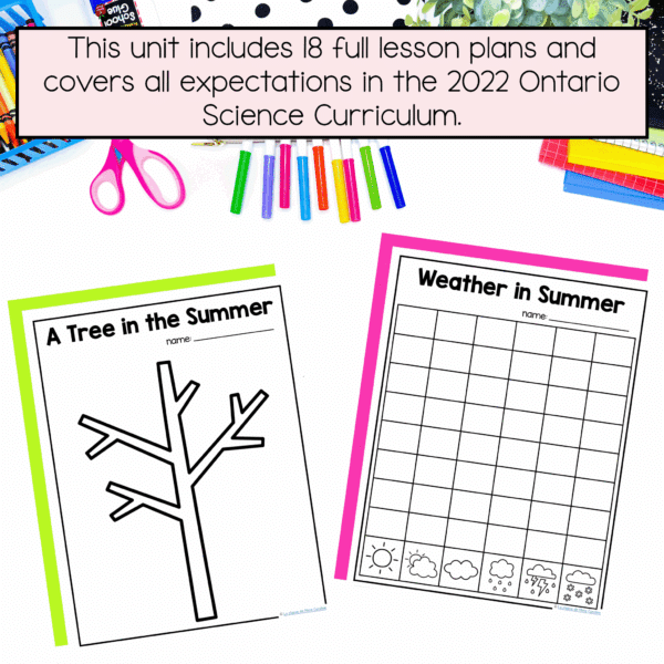 Grade 1 Daily and Seasonal Changes Science Unit in ENGLISH - Includes ...