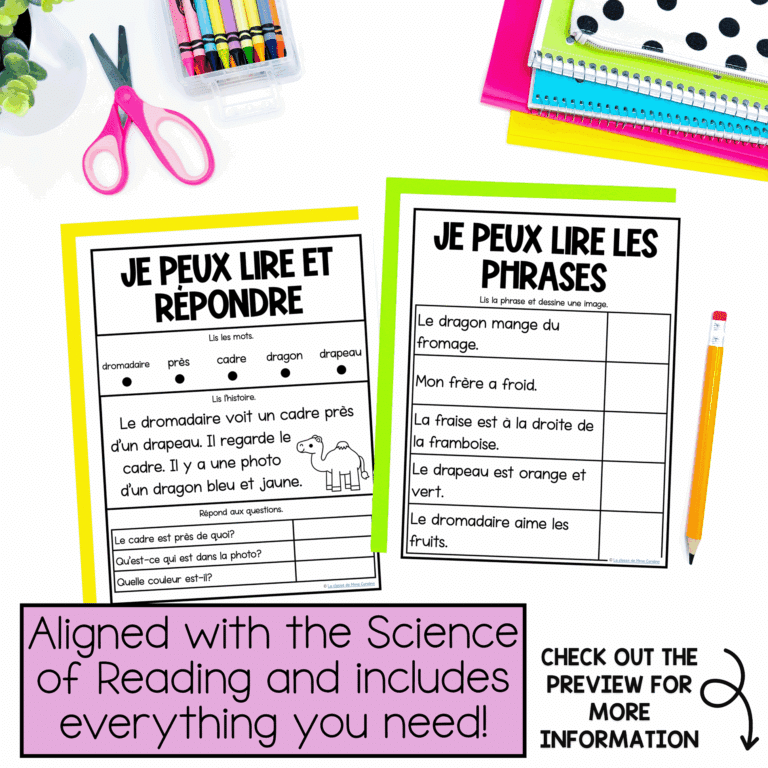 French Phonics Activities - Decoding, Phonological & Phonemic Awareness ...