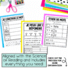 French Phonics Activities - Decoding, Phonological & Phonemic Awareness ...