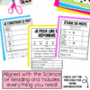 French Phonics Activities - Decoding, Phonological & Phonemic Awareness ...