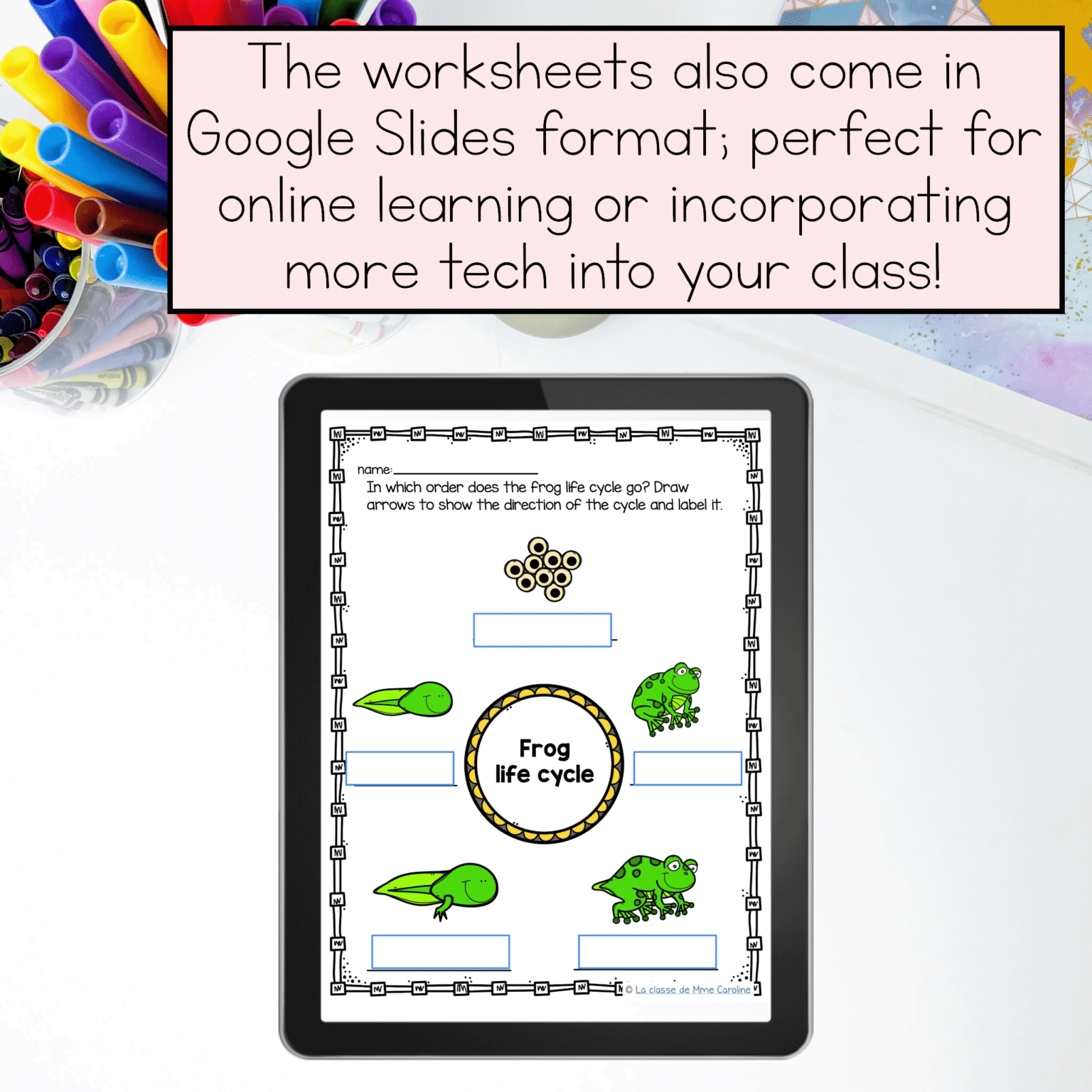 Grade 2 Science Unit Bundle - Simple Machines, Air & Water, Animals ...