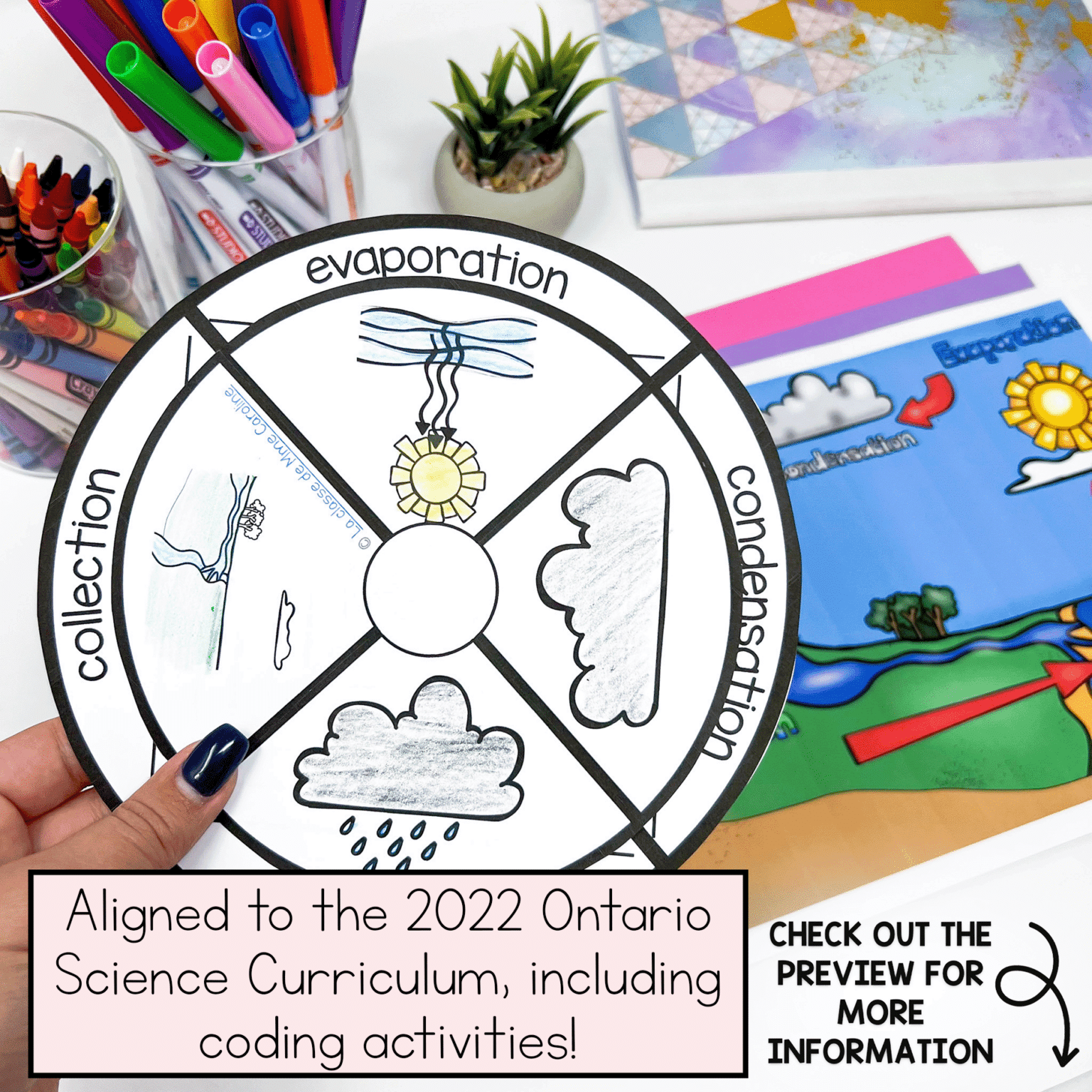 Grade 2 Science Unit Bundle - Simple Machines, Air & Water, Animals ...