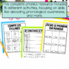 French Phonics Activities - Decoding, Phonological & Phonemic Awareness ...