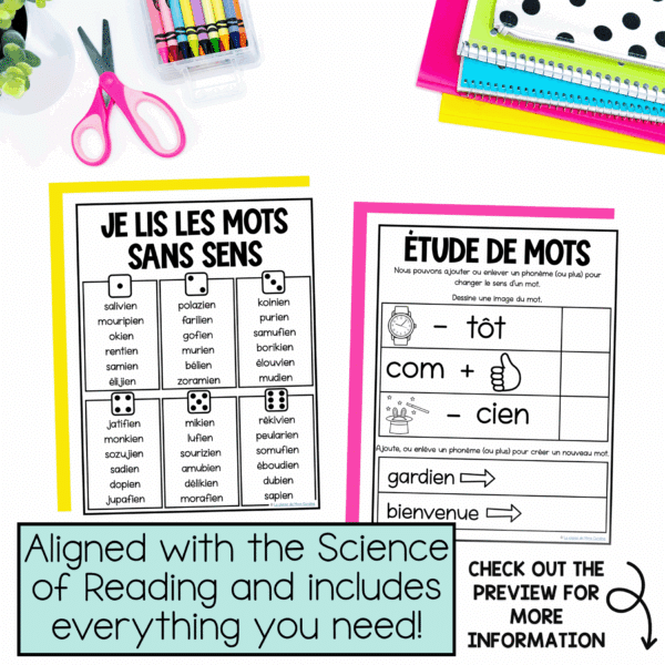 French Phonics Activities - Decoding, Phonological & Phonemic Awareness ...