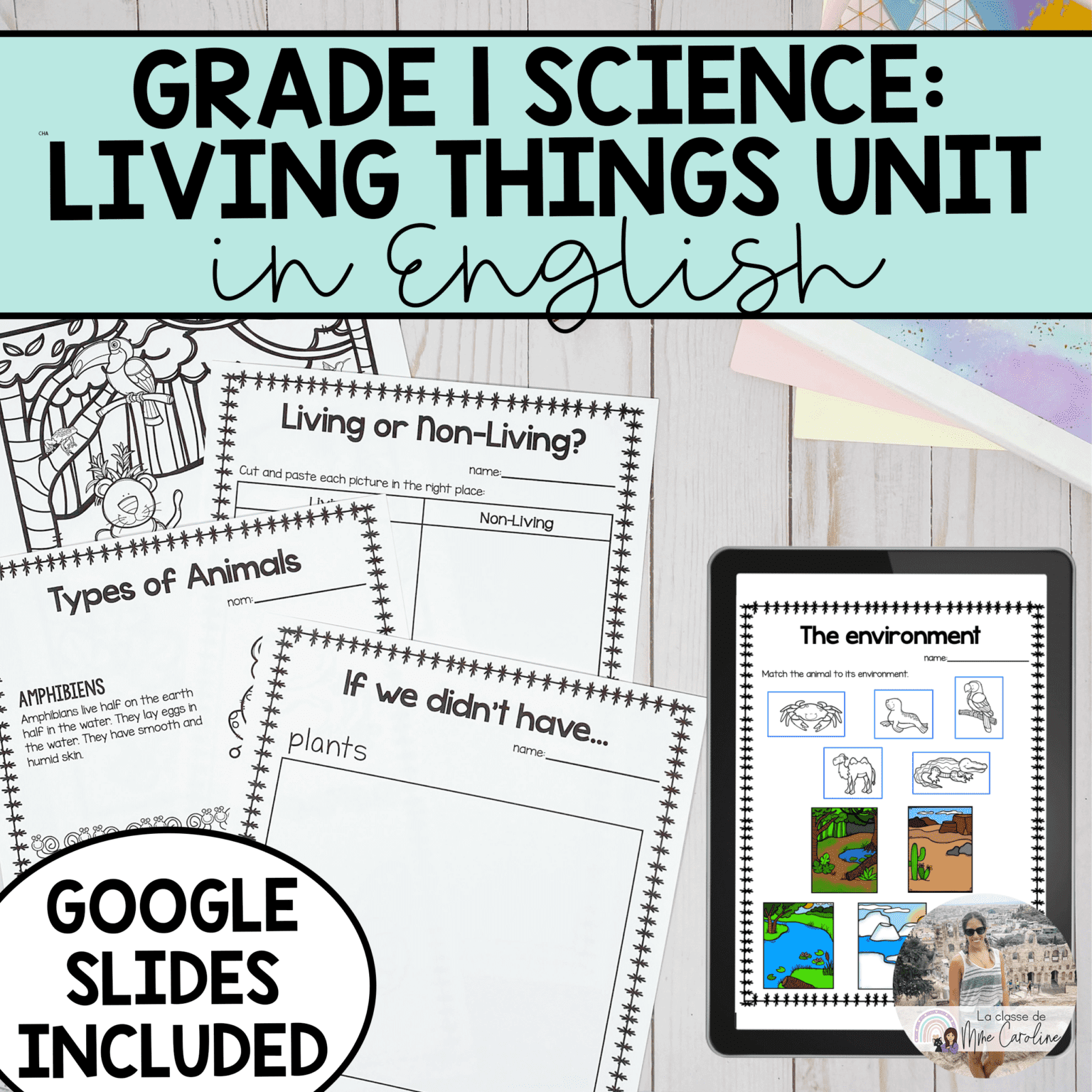 Grade 1 Needs and Characteristics of Living Things Science Unit in ...