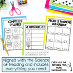 French Phonics Activities - Decoding, Phonological & Phonemic Awareness ...