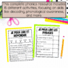 French Phonics Activities - Decoding, Phonological & Phonemic Awareness ...