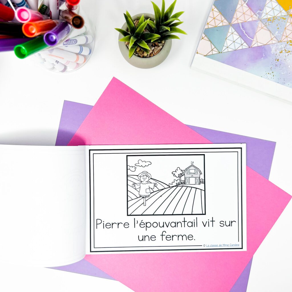 French Phonics Mini Books | Learn to Read in French | Le son: AIL ...