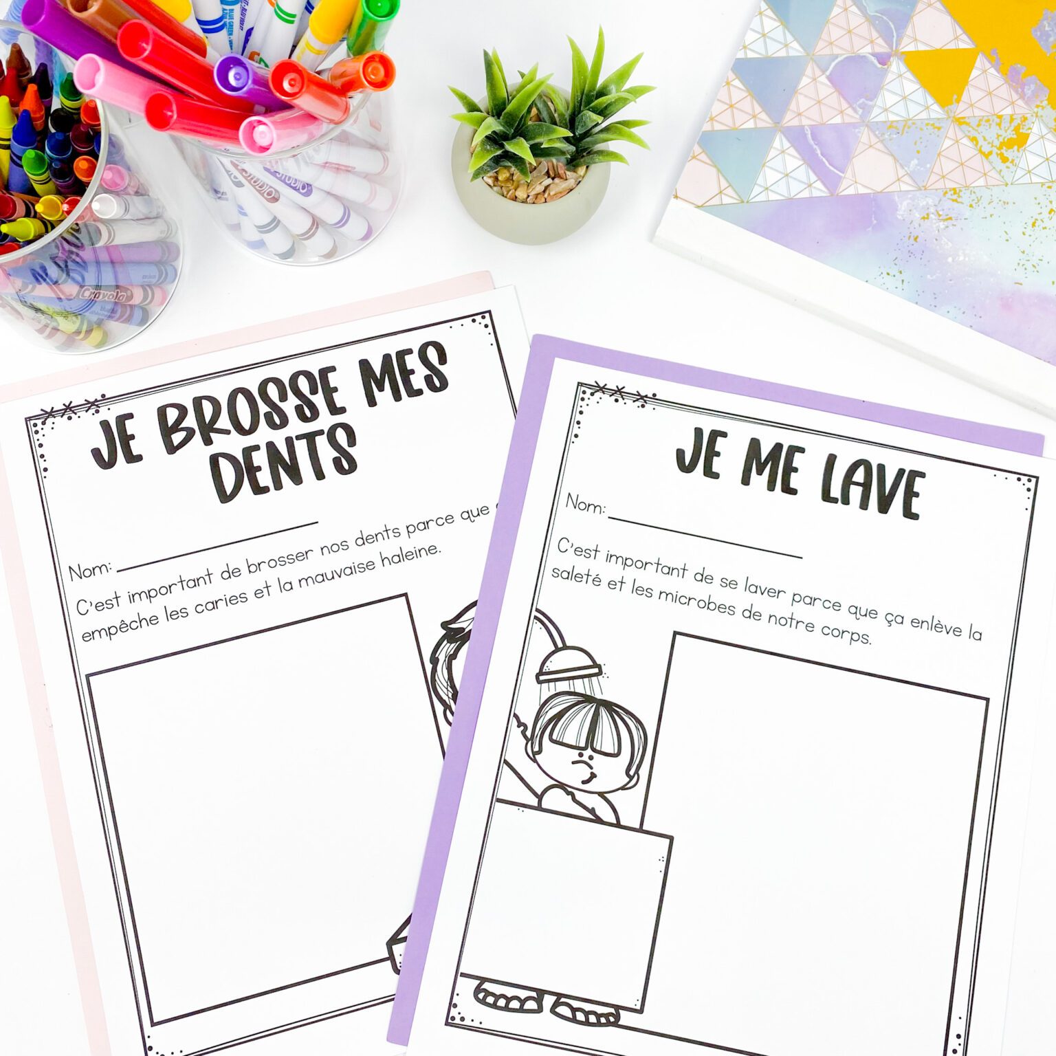 Grade 1 Human Development and Sexual Health Unit in French - La Classe ...