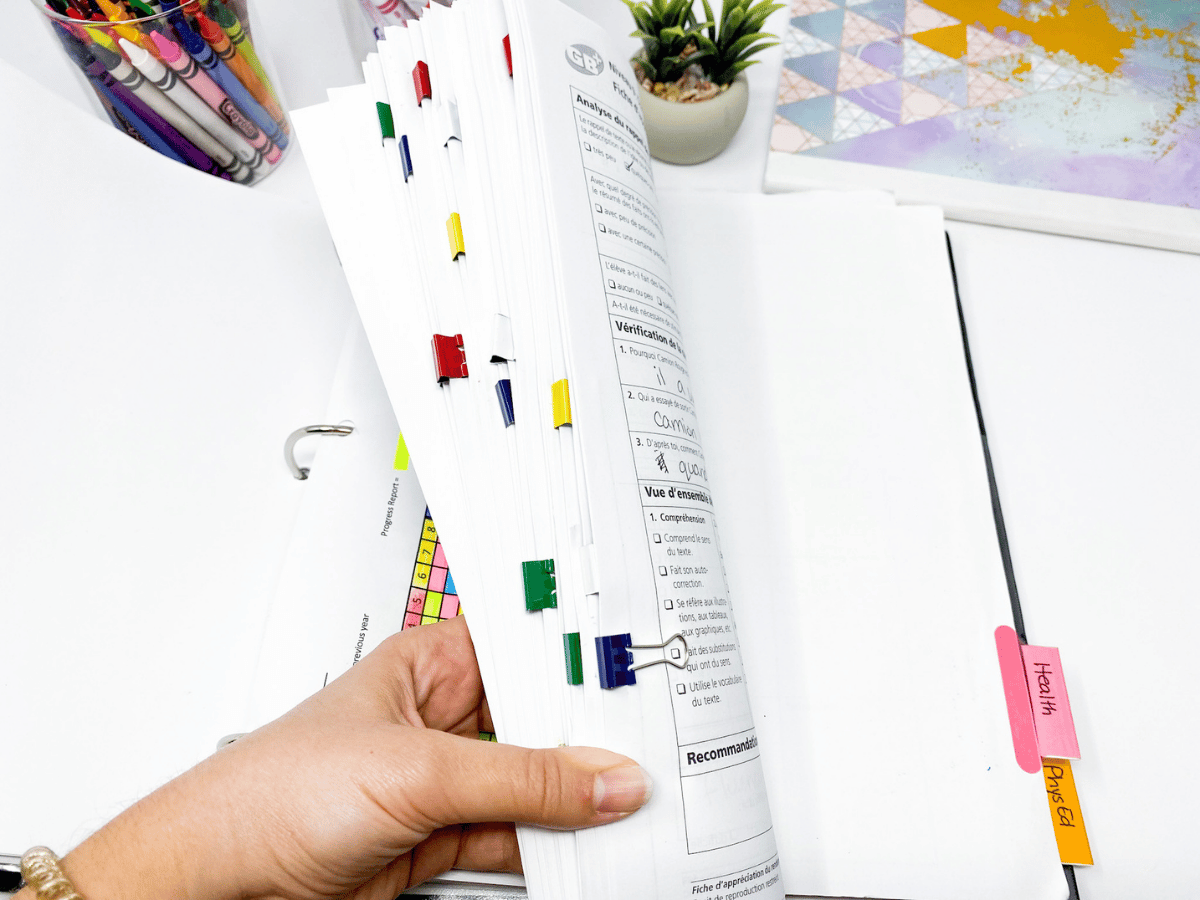 4 Tips to Organize your Assessment Binder With Ease - La Classe de Mme ...