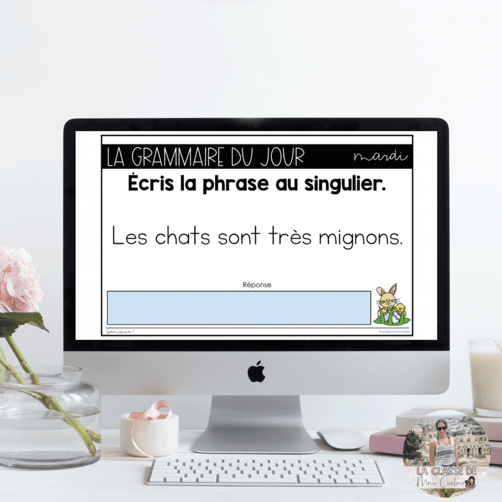 Grade 2 French Grammar Activities Full Year Bundle - Printable & Google ...