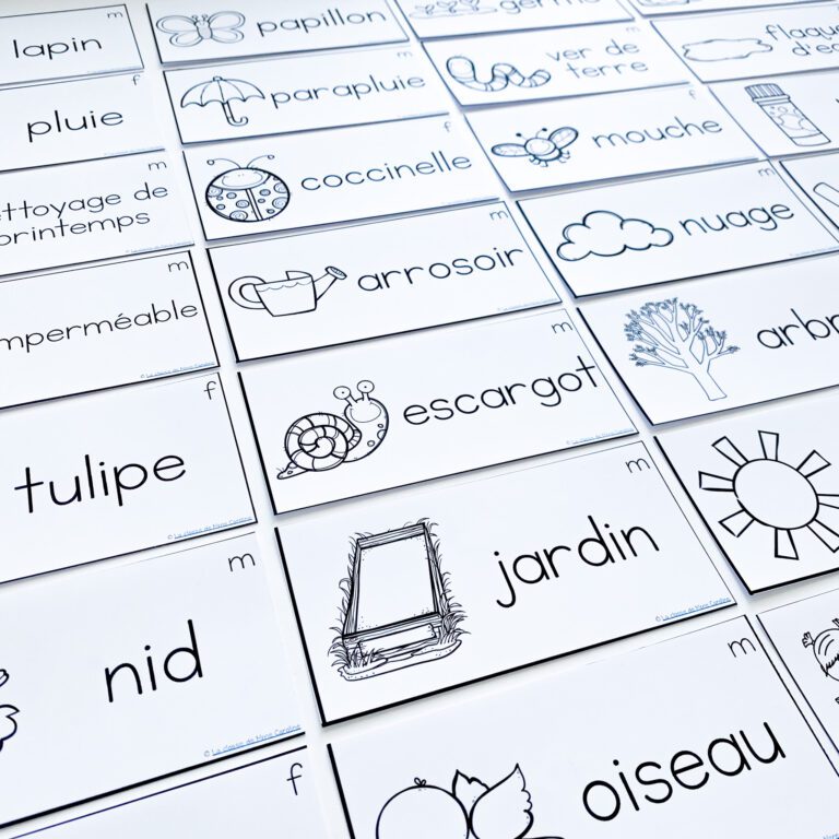 French Spring Vocabulary & Word Wall Cards - vocabulaire du printemps ...