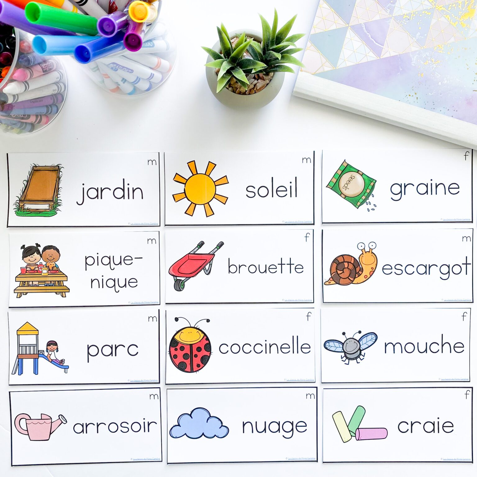 French Spring Vocabulary & Word Wall Cards - vocabulaire du printemps ...