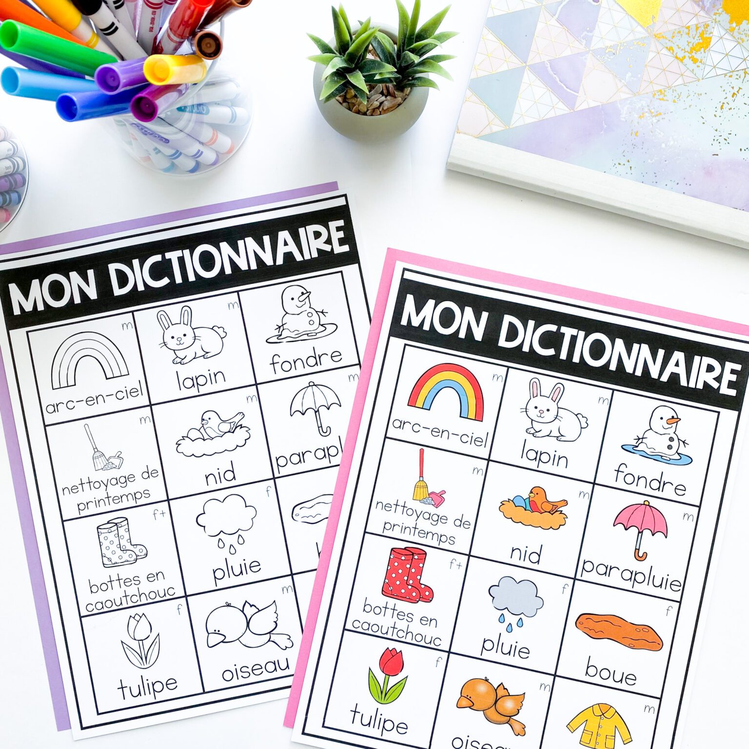 French Spring Vocabulary & Word Wall Cards - vocabulaire du printemps ...