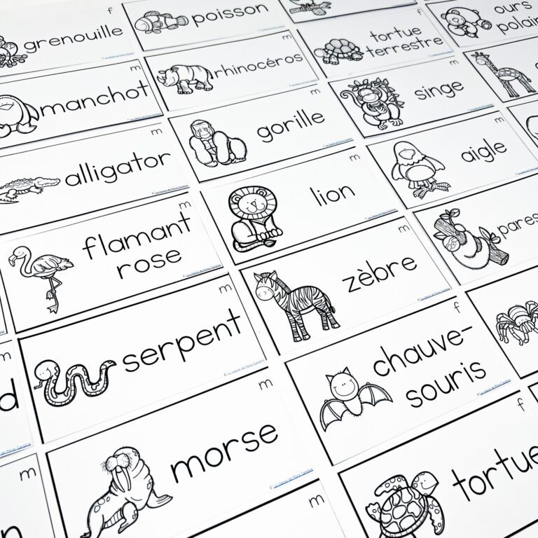 French Zoo Animals Vocabulary | French Word Wall Cards: vocabulaire du ...