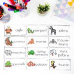 French Zoo Animals Vocabulary | French Word Wall Cards: vocabulaire du ...