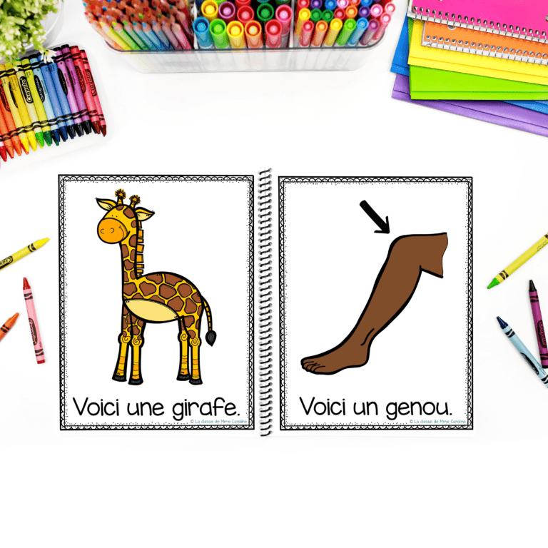 French Alphabet First Sound Emergent Reader (G Doux Book) - La Classe ...