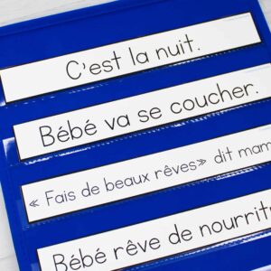 French Phonics Pocket Chart Stories for Shared Reading | Les voyelles ...