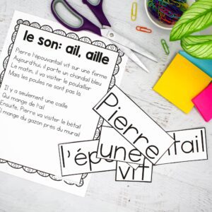 French Phonics Pocket Chart Stories for Shared Reading | Les sons ...