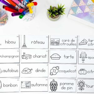 French Fall Vocabulary and Word Wall Cards - vocabulaire d'automne - La ...