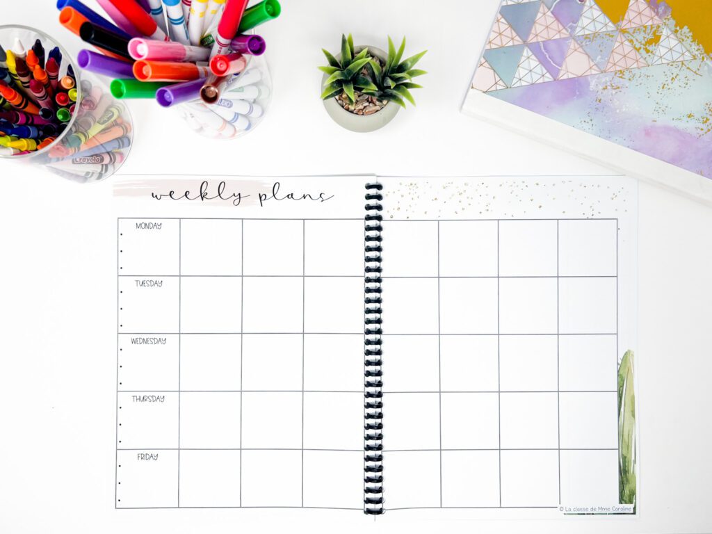 EDITABLE Teacher Planner with FREE YEARLY UPDATES - Cactus themed - La ...