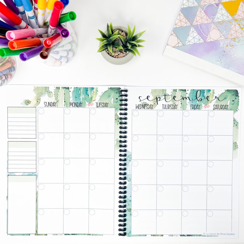 EDITABLE Teacher Planner with FREE YEARLY UPDATES - Cactus themed - La ...