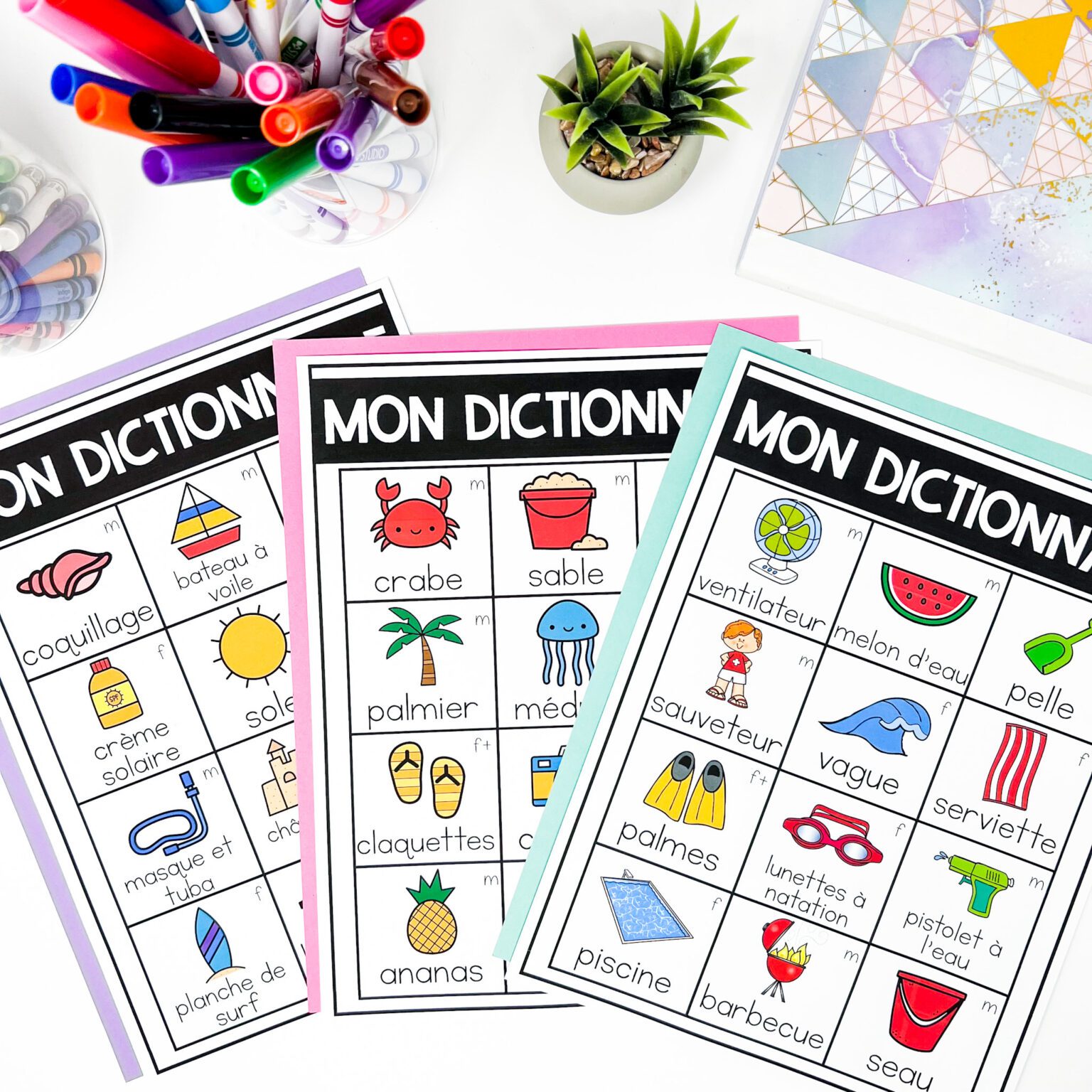 French Summer Vocabulary and French Word Wall Cards - vocabulaire d'été ...
