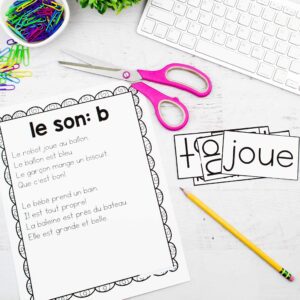 French Phonics Pocket Chart Stories | French Shared Reading | Les sons ...