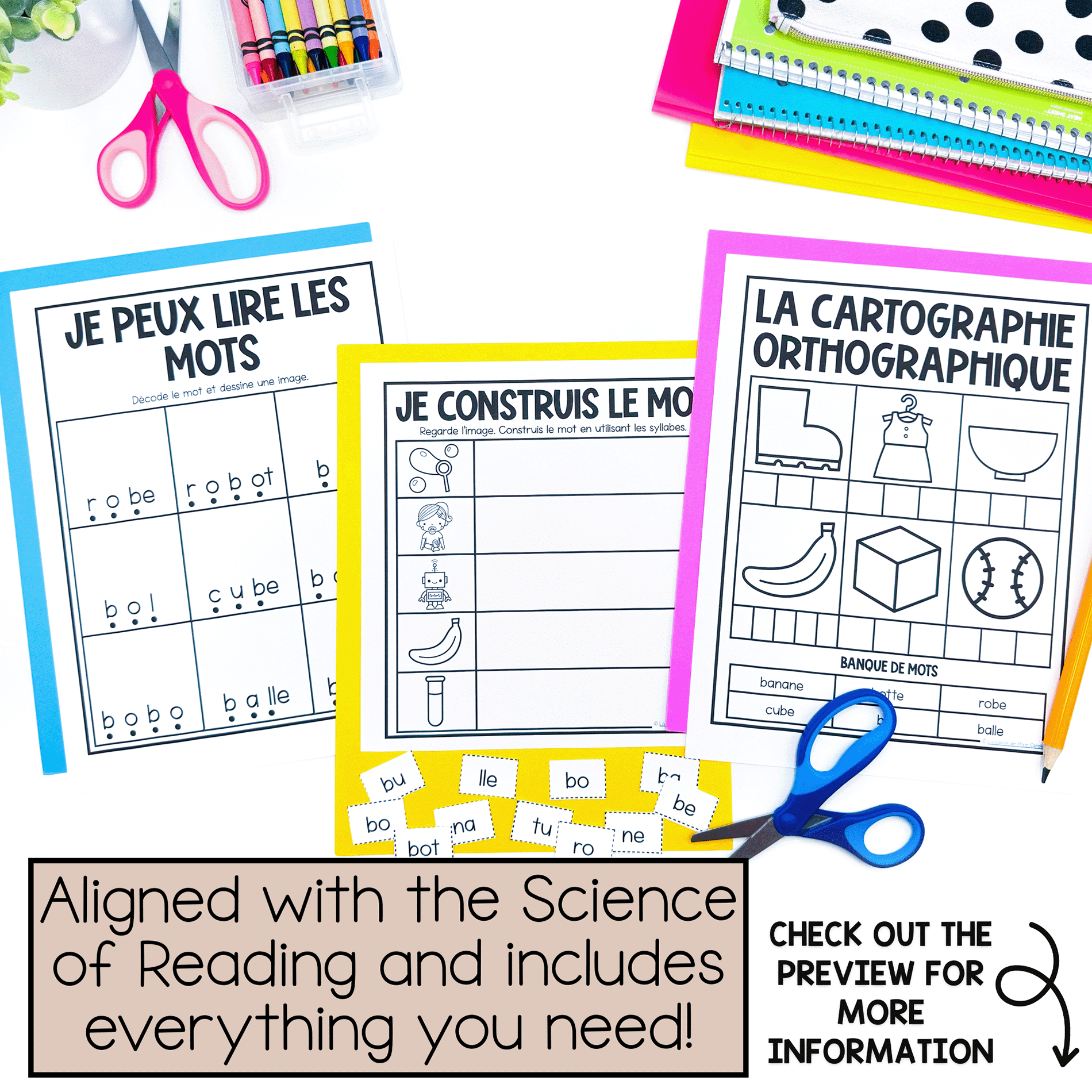 French Phonics Activities - Decoding Phonological & Phonemic Awareness ...