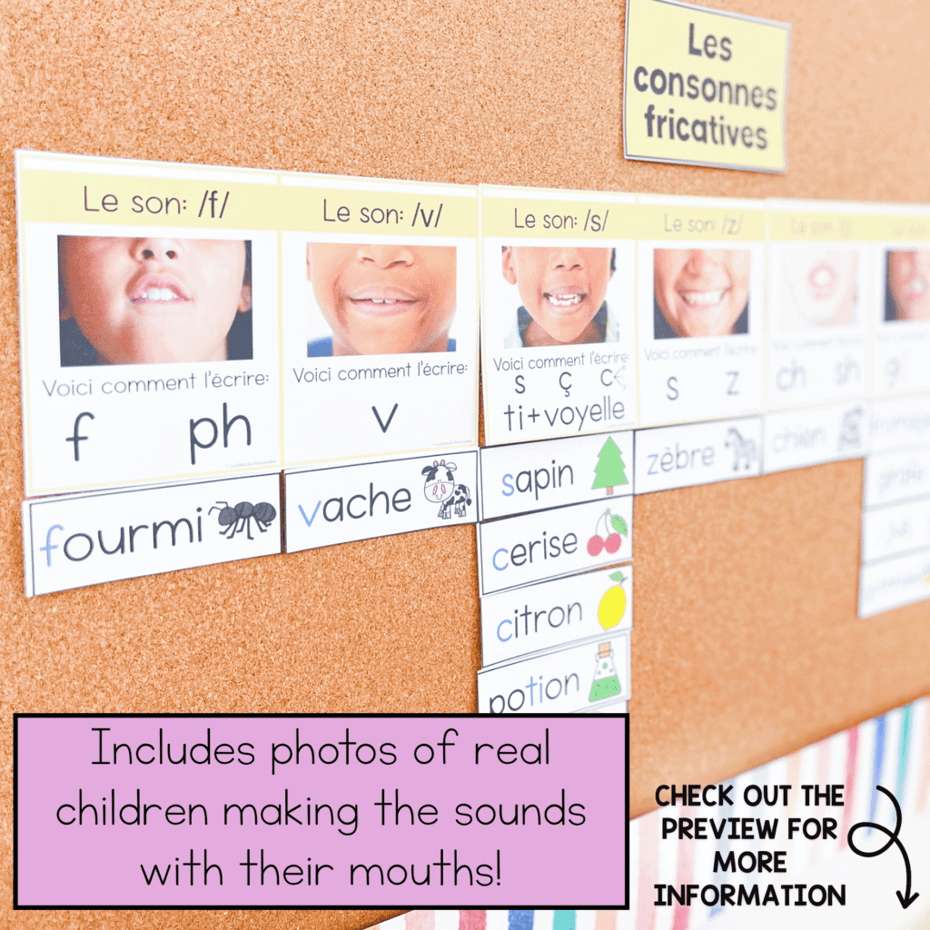 French Sound Wall | French Phonics Board with Real Pictures | Mur de ...