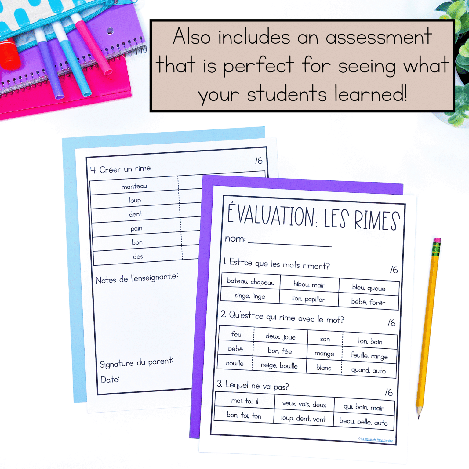 French Rhyming Worksheets and Assessment for Primary Students | Les ...