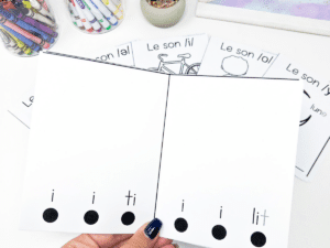 Harnessing the Power of French Decodable Readers in Primary Classrooms ...