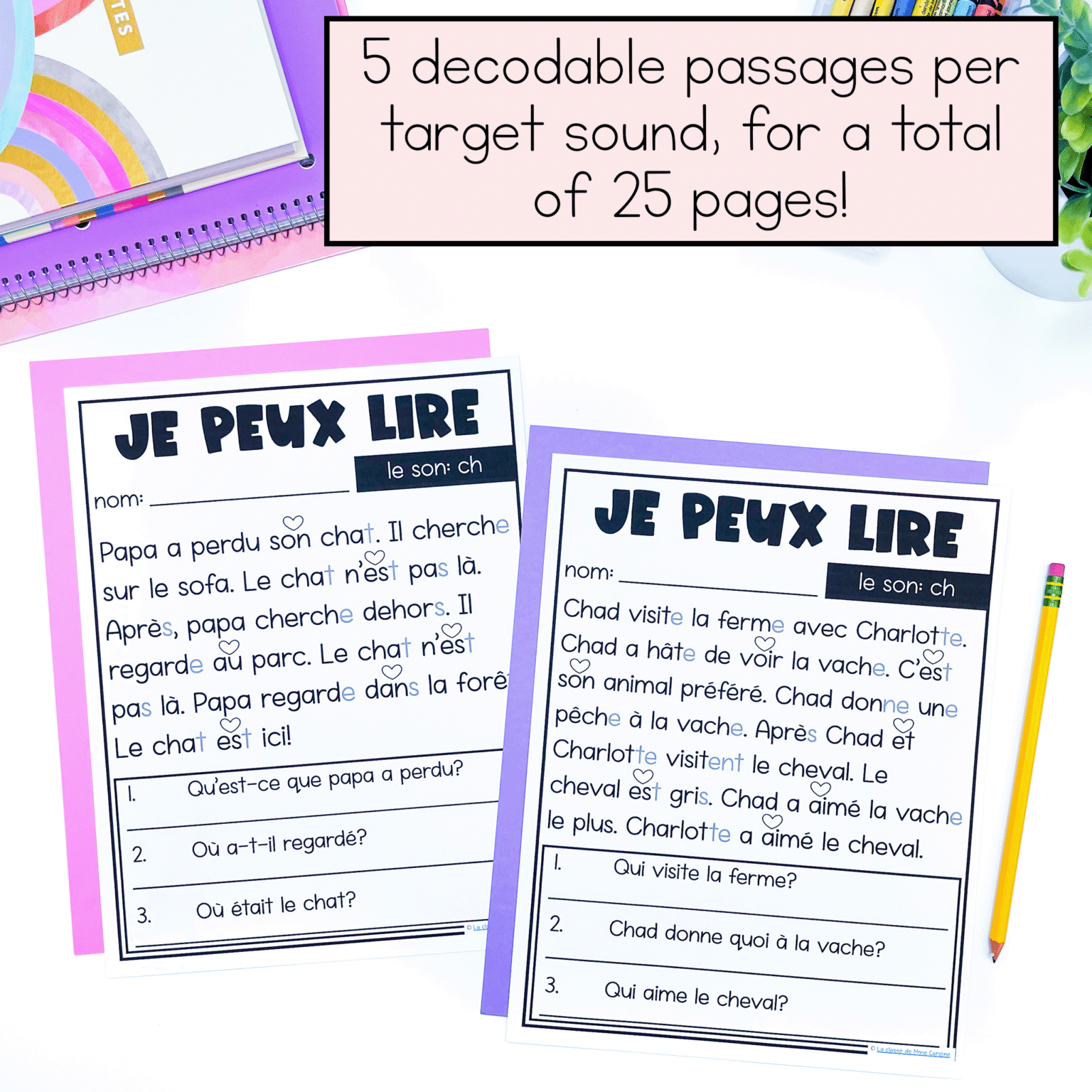 French Decodable Reading Passages & Comprehension Questions for ...