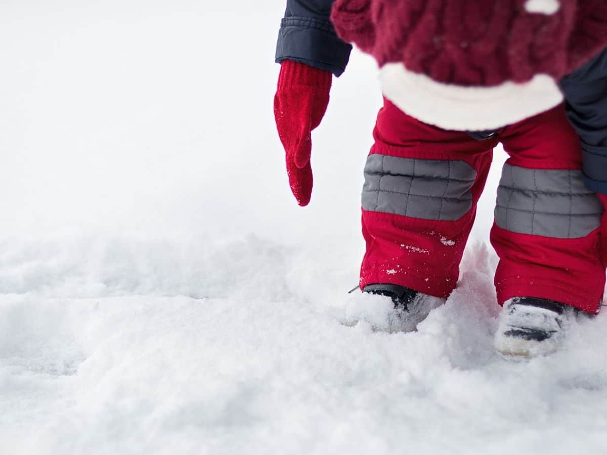 3 Fun Experiments for your French Daily and Seasonal Changes Unit - La ...