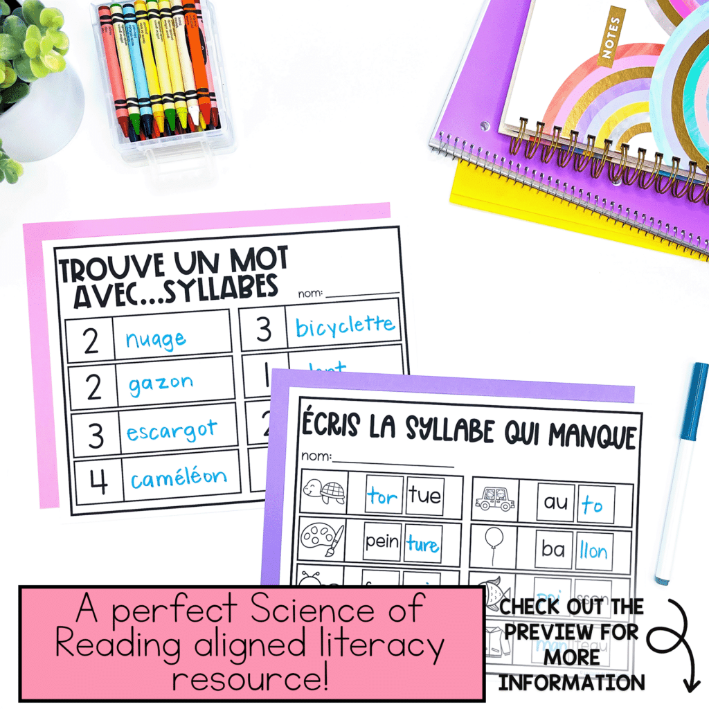 French Syllable Worksheets and Assessment for Primary Students | Les ...