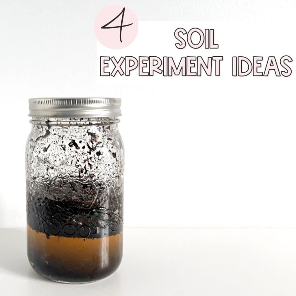 4 Fun Experiments for Your Soil Science Unit - La Classe de Mme Caroline