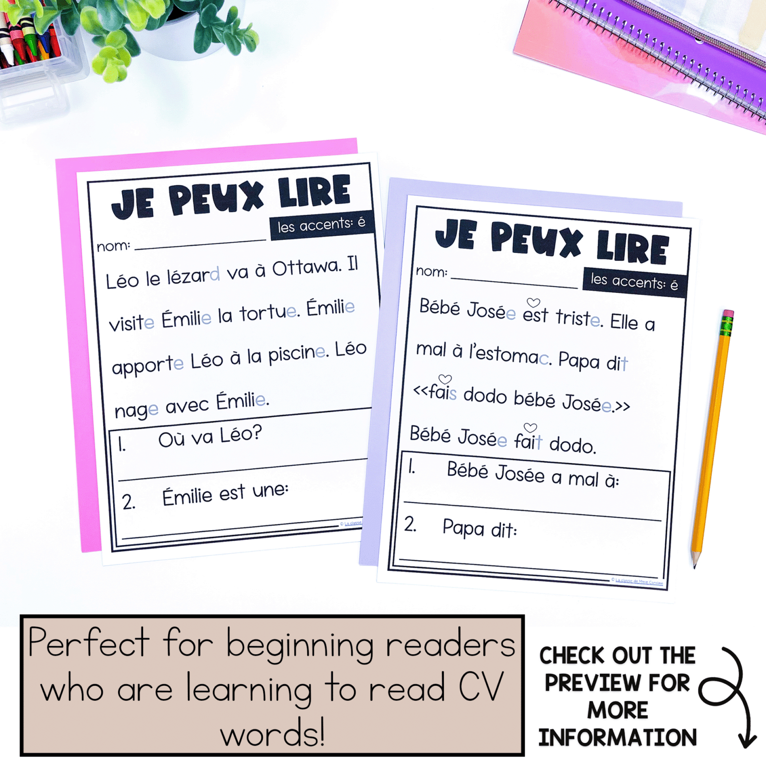 French Decodable Reading Passages with Comprehension Questions | les ...