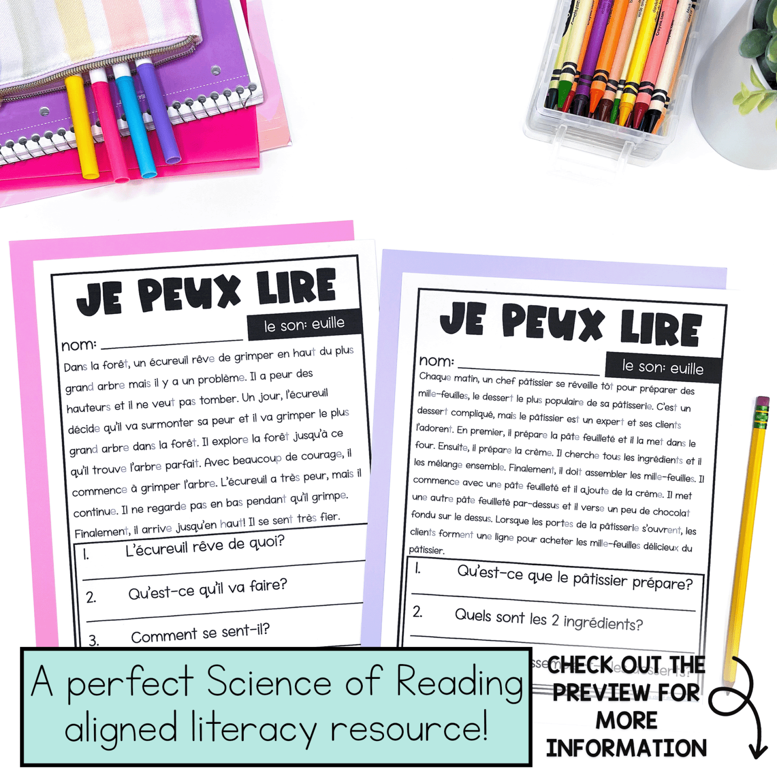 French Decodable Reading Passages and Comprehension Questions Compound ...