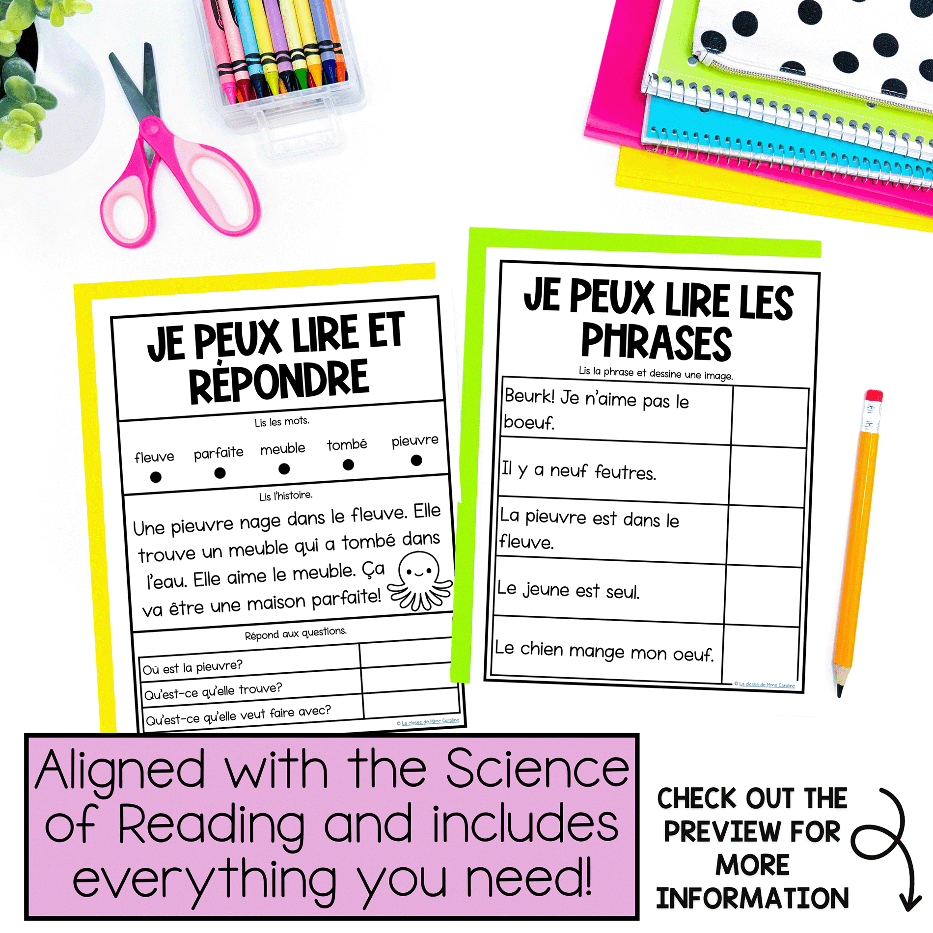 French Phonics Activities - Decoding, Phonological & Phonemic Awareness ...